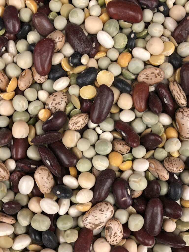 Small but Mighty | 5 Types of Beans to Try Next | Quesada